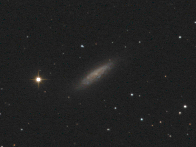 ngc6503 in draco total exposure 3600 secs binning 1x1 observation
